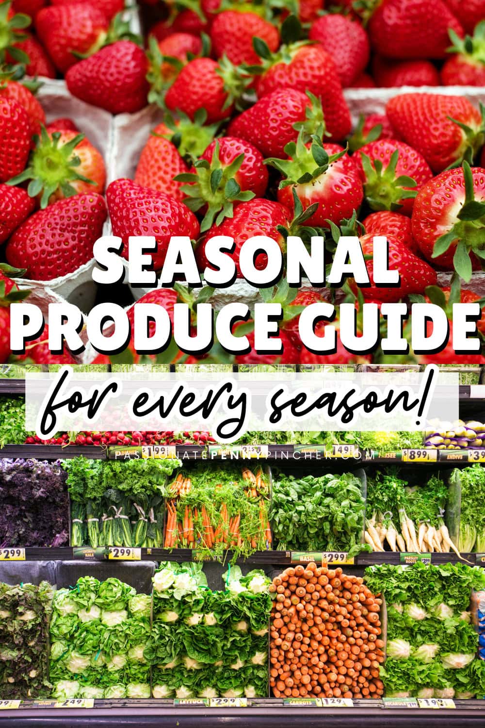 Free Printable Seasonal Produce Guide