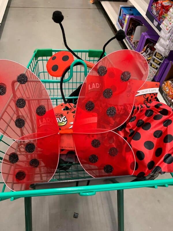 5 Easy Dollar Tree Halloween Costumes