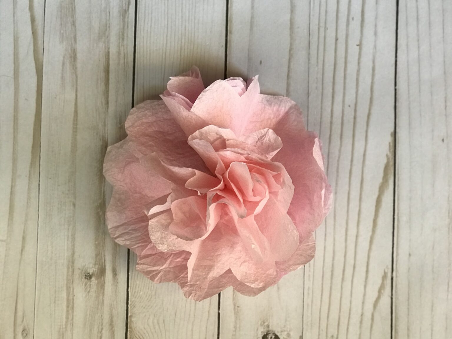 Coffee Filter Flowers are GORGEOUS for Spring (Easy DIY Steps!)
