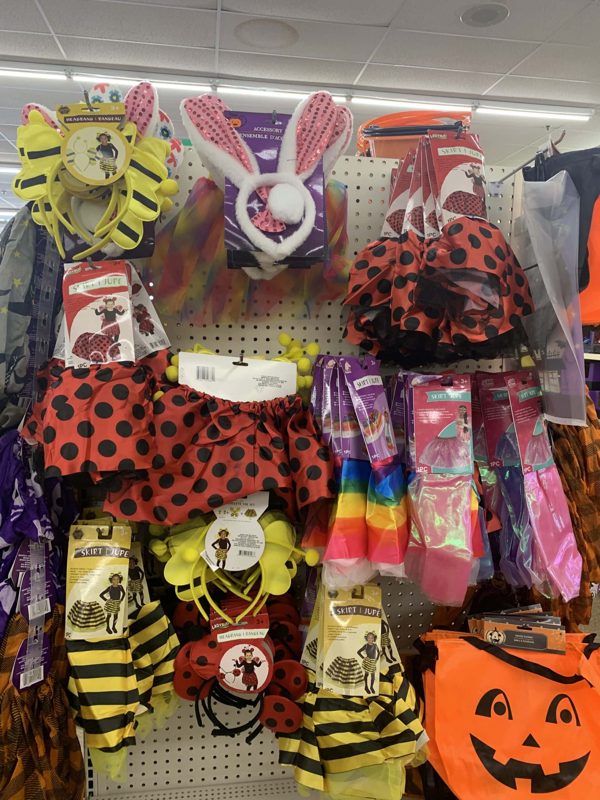 Dollar Tree Halloween Costumes - TONS of Options Under $5!