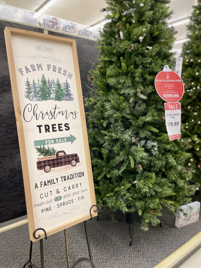 8 Best Stores to Shop CHRISTmas Clearance! (Plus what to Snag!)