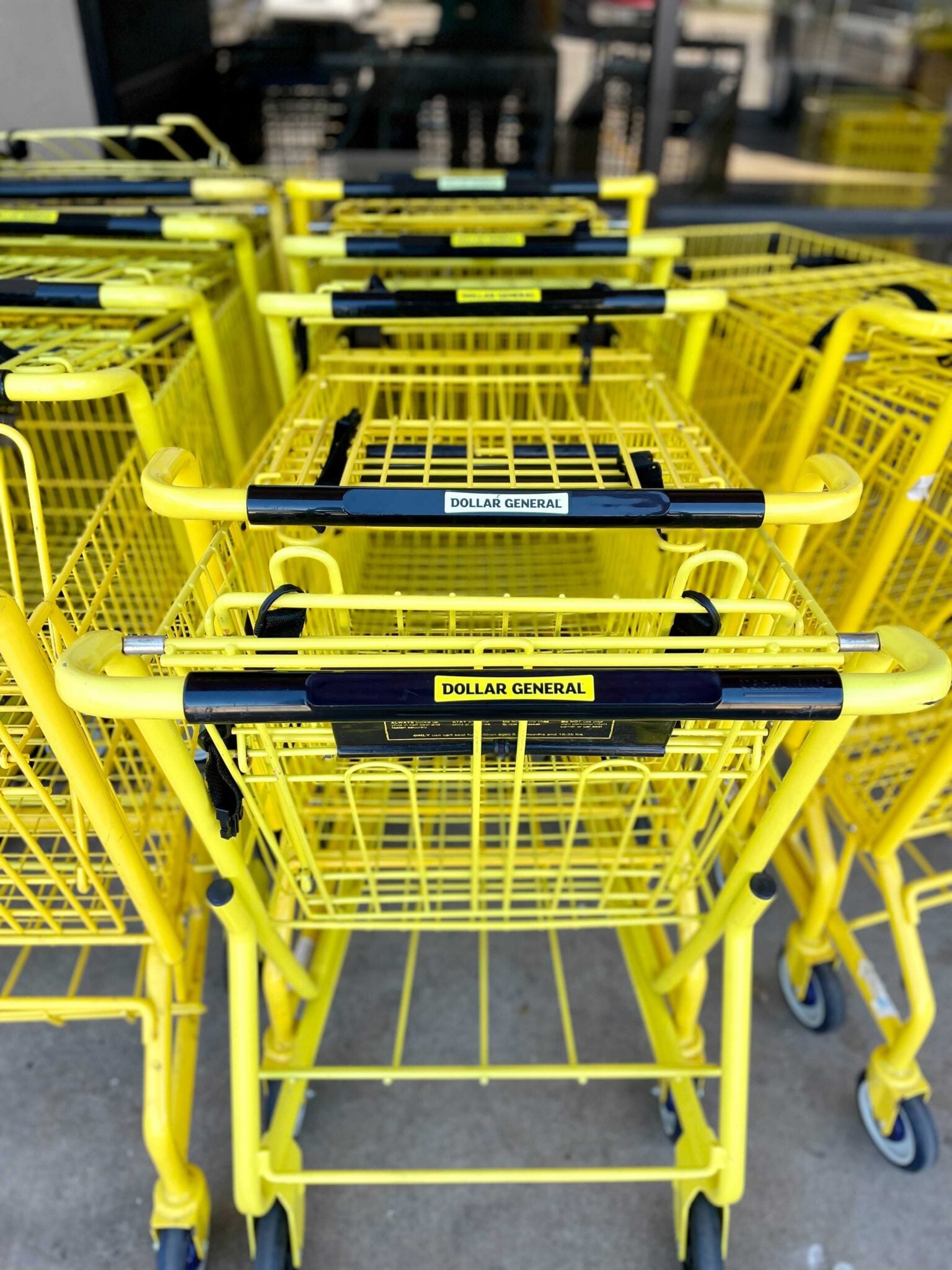 Dollar General Ad | Don't Miss These Digital Coupon Deals This Week!