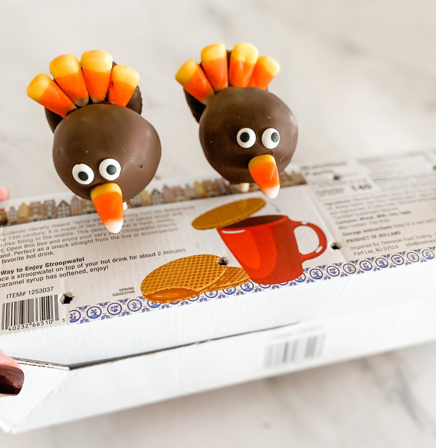 These Thanksgiving Cake Pops are SO FUN and Easy to Make!
