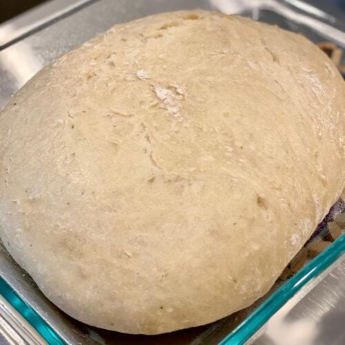 No Knead Artisan Bread | How to Make Bread without a Machine!
