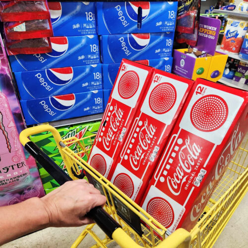 Dollar Tree Plus - What to Know Before You Go!