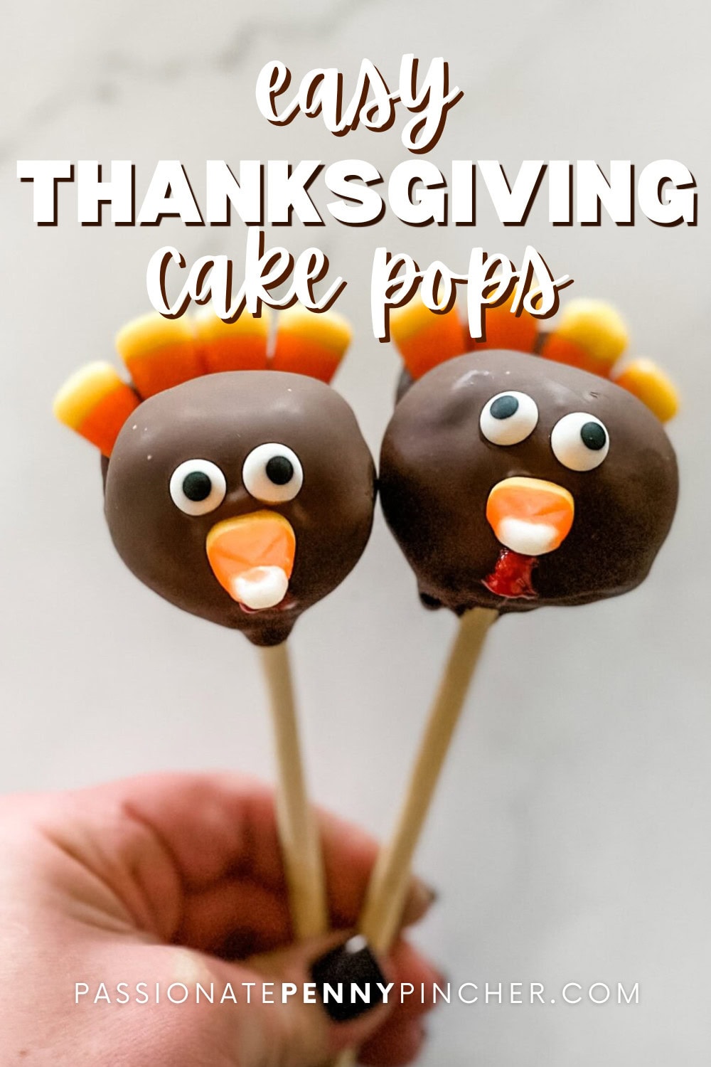 These Thanksgiving Cake Pops are SO FUN and Easy to Make!