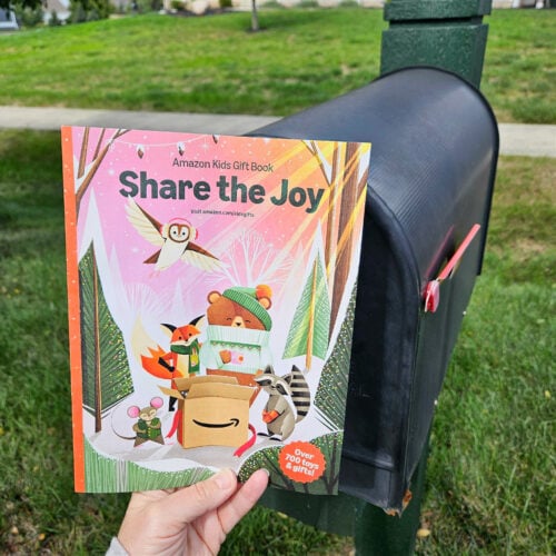 2024 Amazon Toy Catalog & List - Find Out How to Get YOURS!