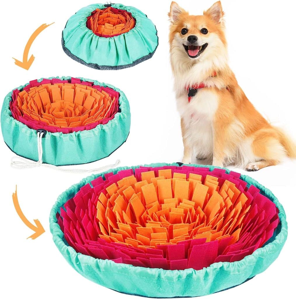 Barkuterie Board Ideas For Your Pup (They'll LOVE THIS ONE!)