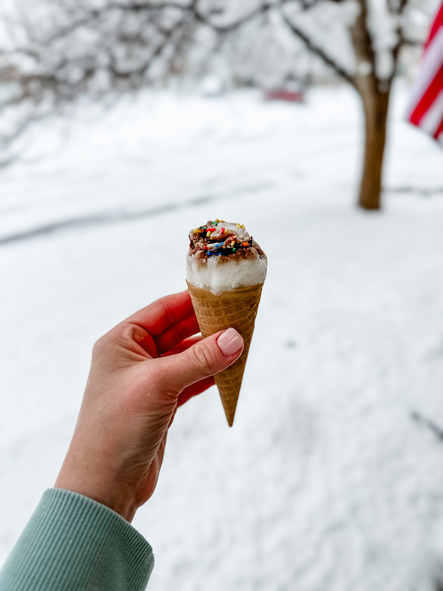 Snow Ice Cream Recipe - Just 4 Ingredients!