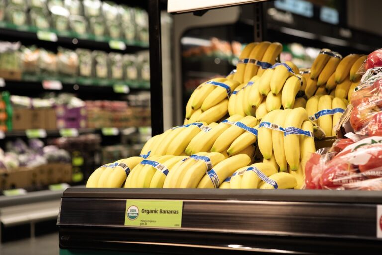 Aldi Return Policy | Can You Get Your Money Back at Aldi?