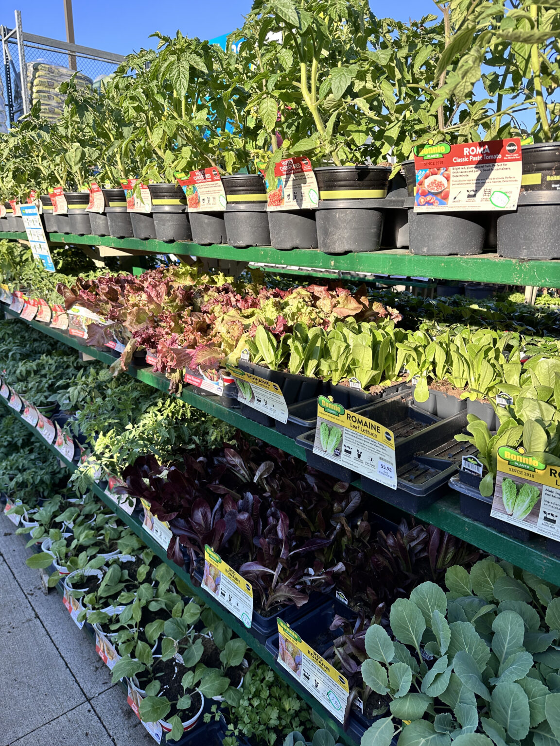 Lowes Spring Sale: Black Friday Deals + Get $10 Coupon Now!
