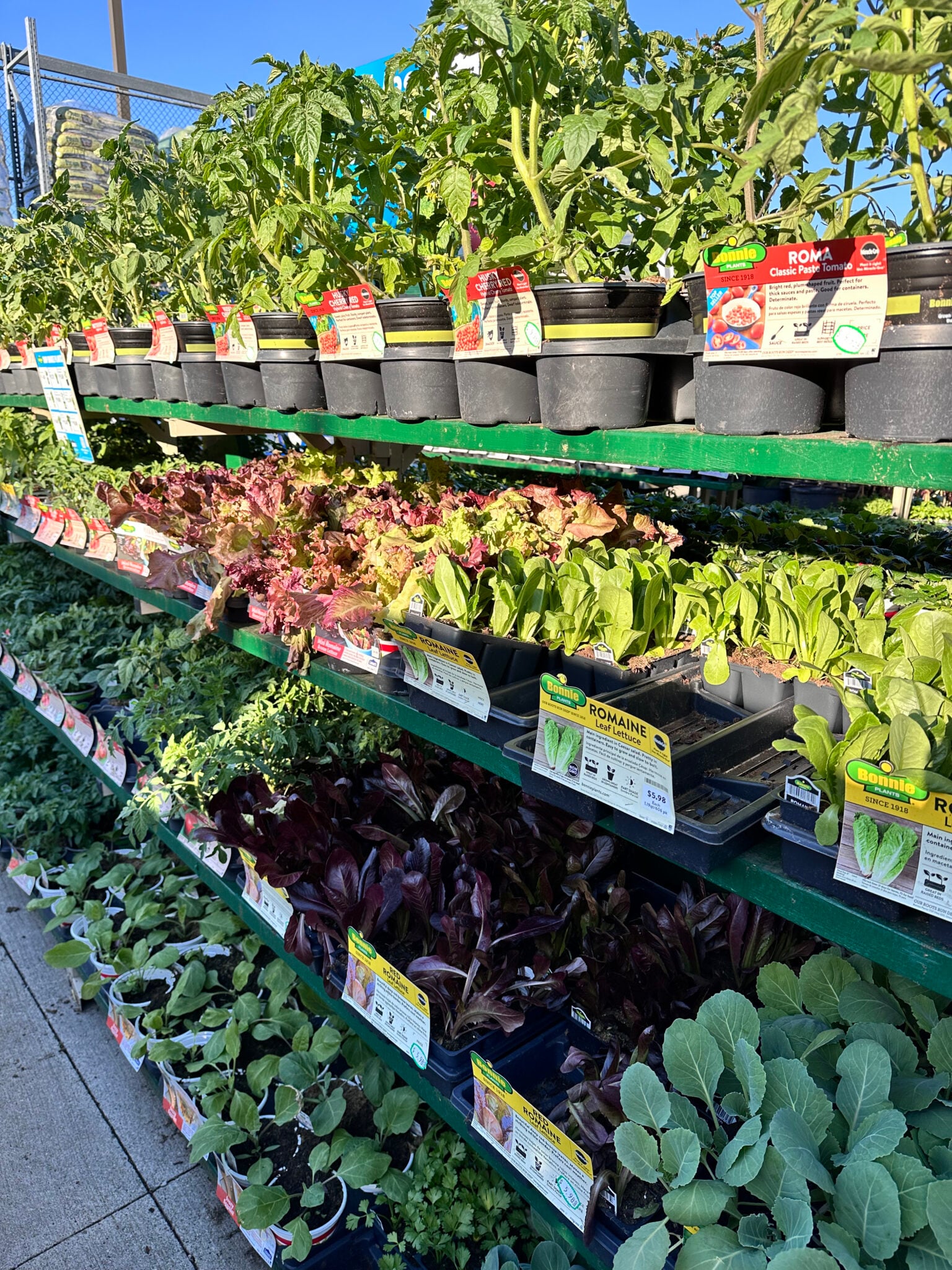 Lowes Spring Sale: Black Friday Deals + Get $10 Coupon Now!