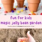 Magic Jelly Bean Garden | Such a FUN Activity for Kids!