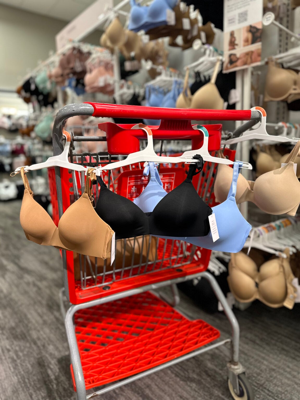 Target Bras from $5 (Reg. $10) + 5 for $25 Panties