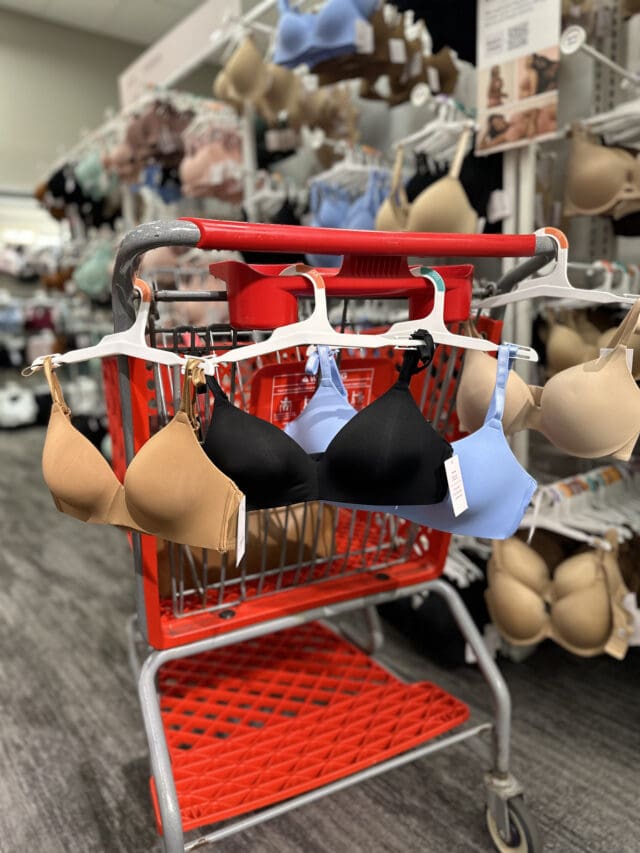 Target Bras from $5 (Reg. $10) + 5 for $25 Panties