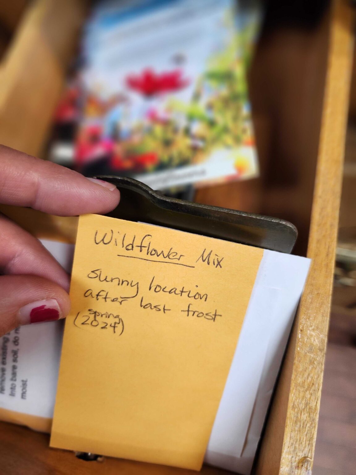 13 CRAZY Library Card Freebies (The Seeds Are AMAZING!)
