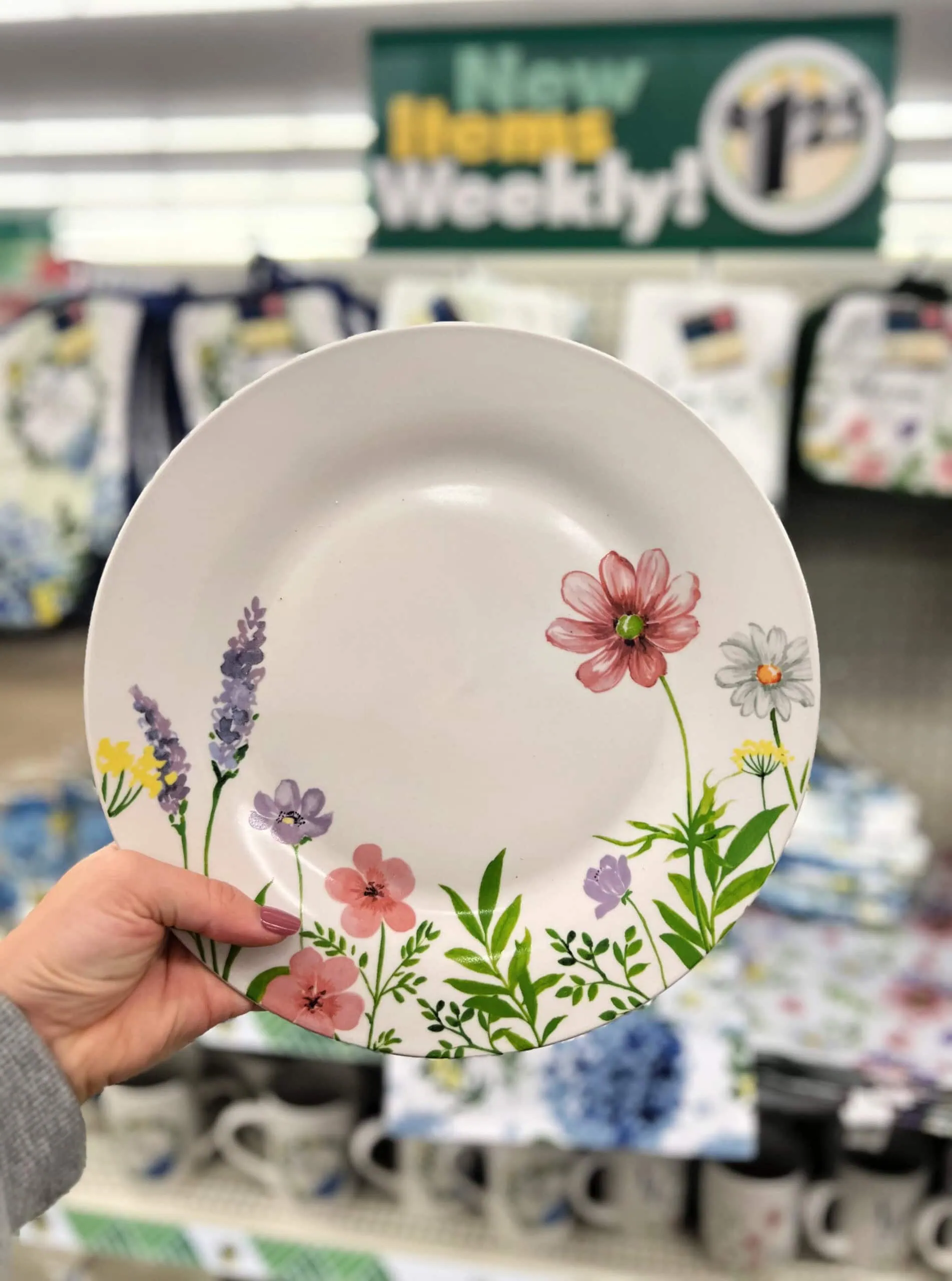 Dollar Tree Dishes - CUTE New Plates, Bowls, Glasses, & More!