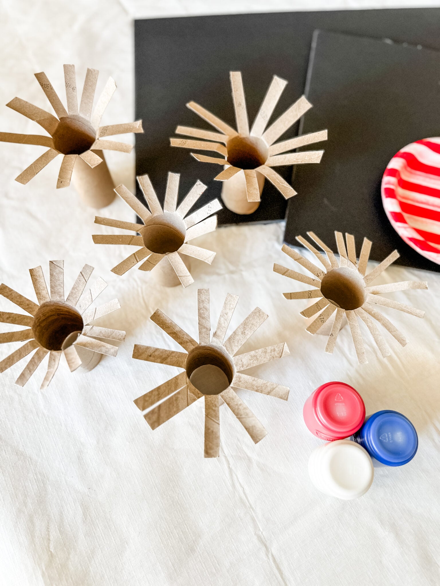 A 4th of July Firework Craft the Whole Family Will Love!