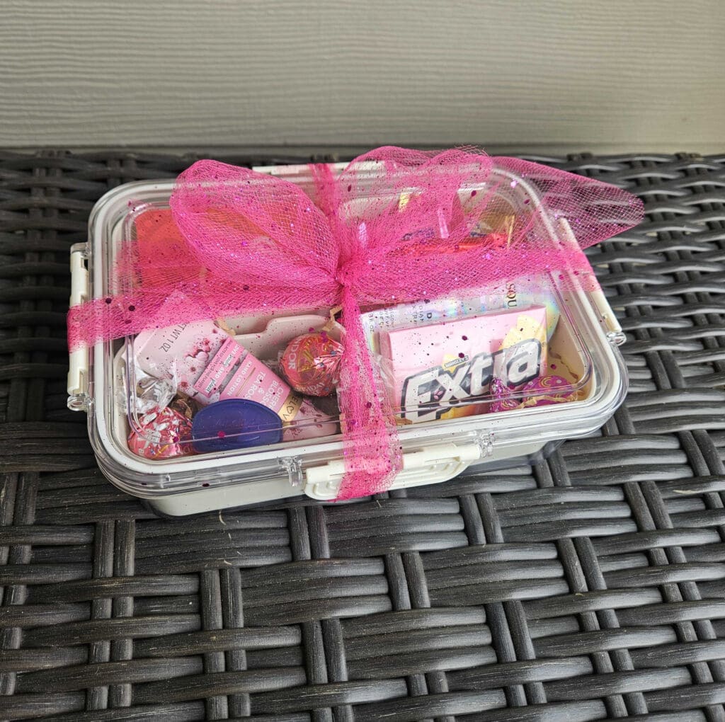 Divided Snack Box Under $13! (Great Teacher Gift Idea)