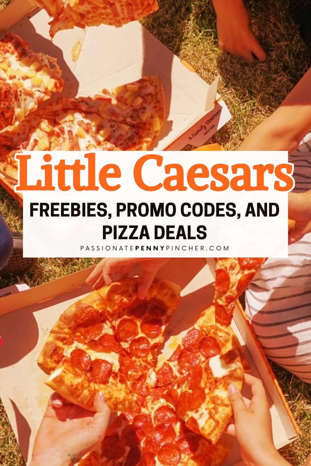 Little Caesars Promo Codes | See What You Can Save on NOW!