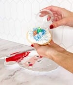 How Cute Are These Snow Globe Cookies?!
