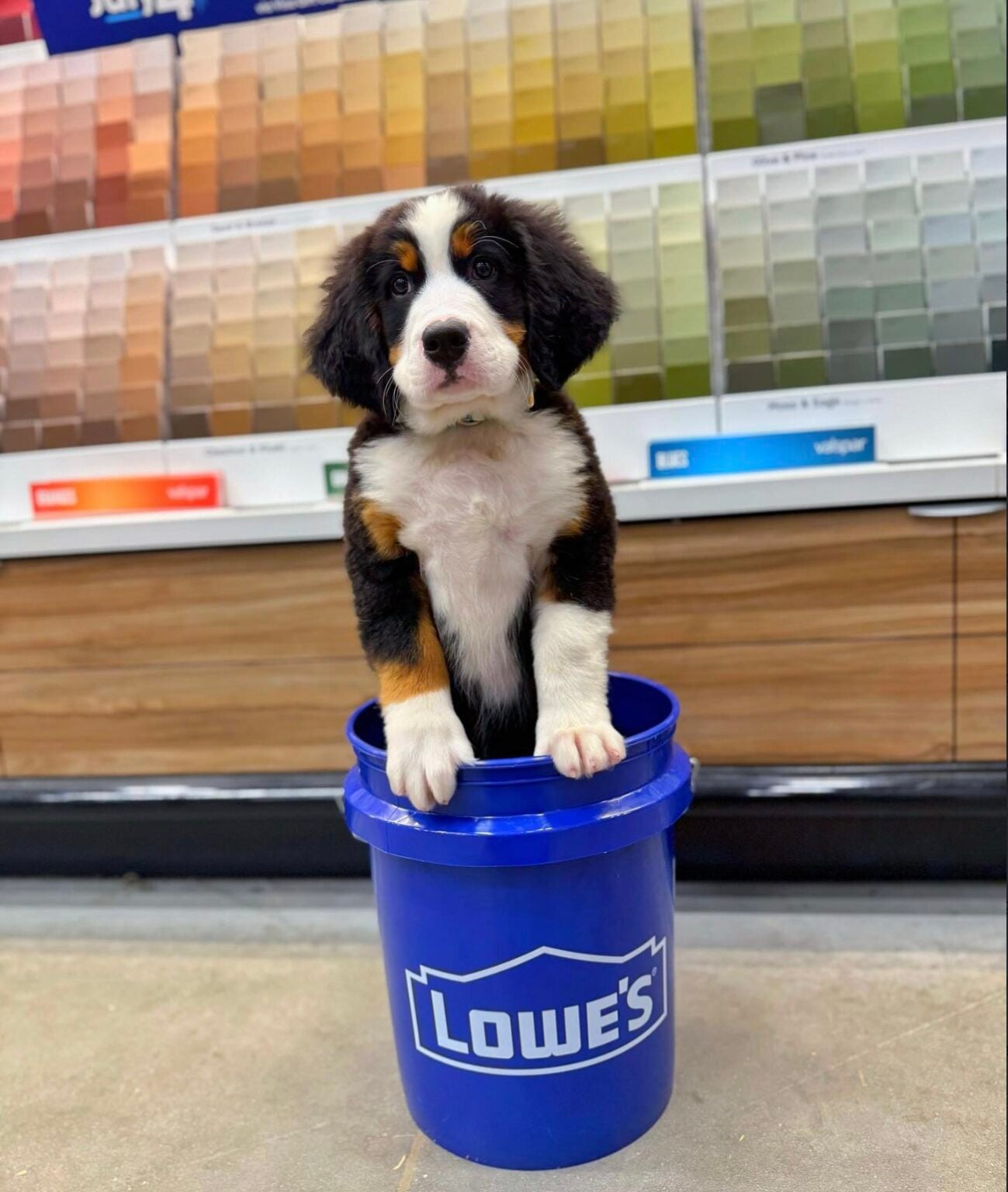 Lowe's 4th of July Mini Buckets & Totes ONLY $1.98!