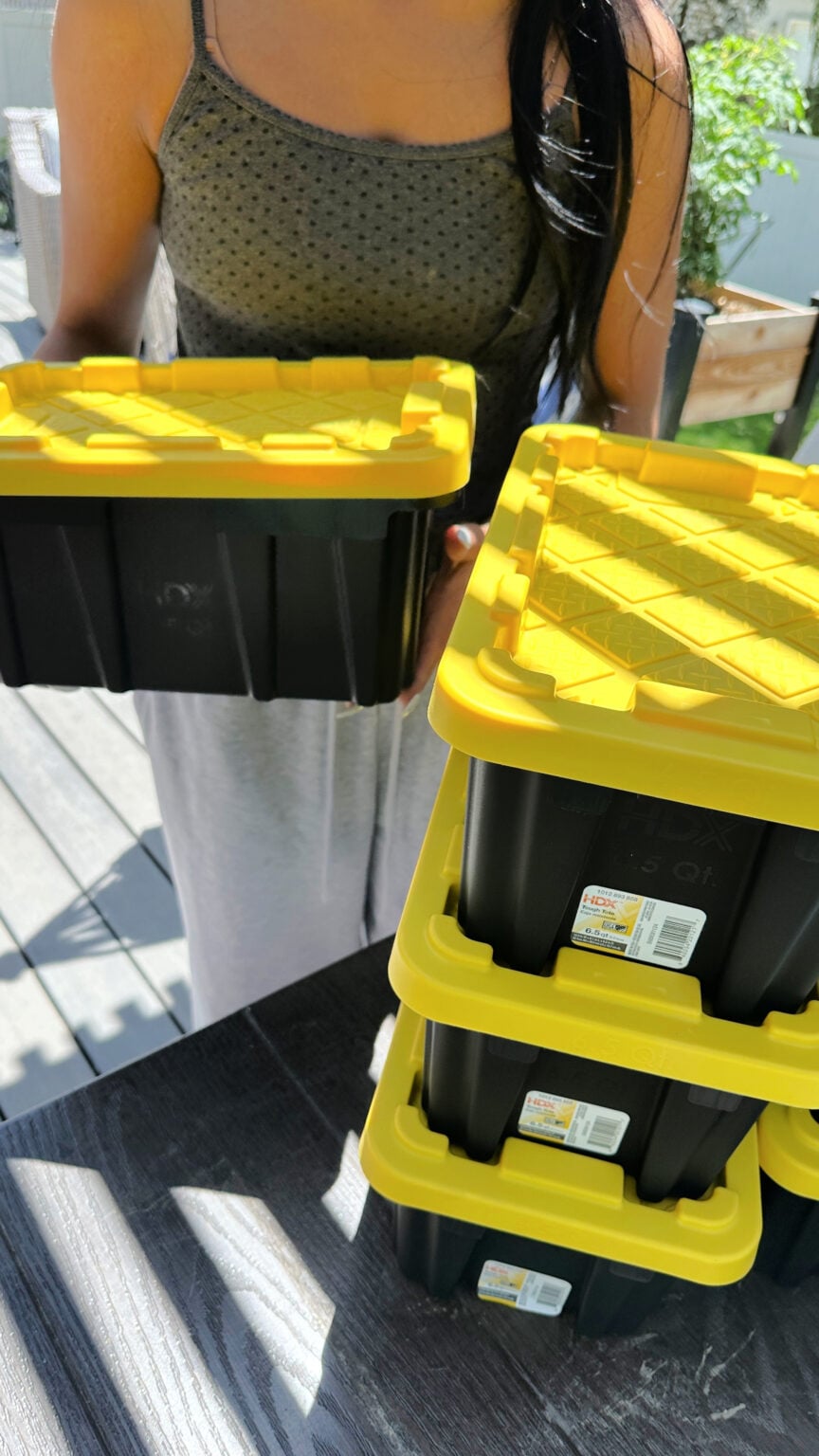 These Trendy Mini Storage Totes are Just $2.50!