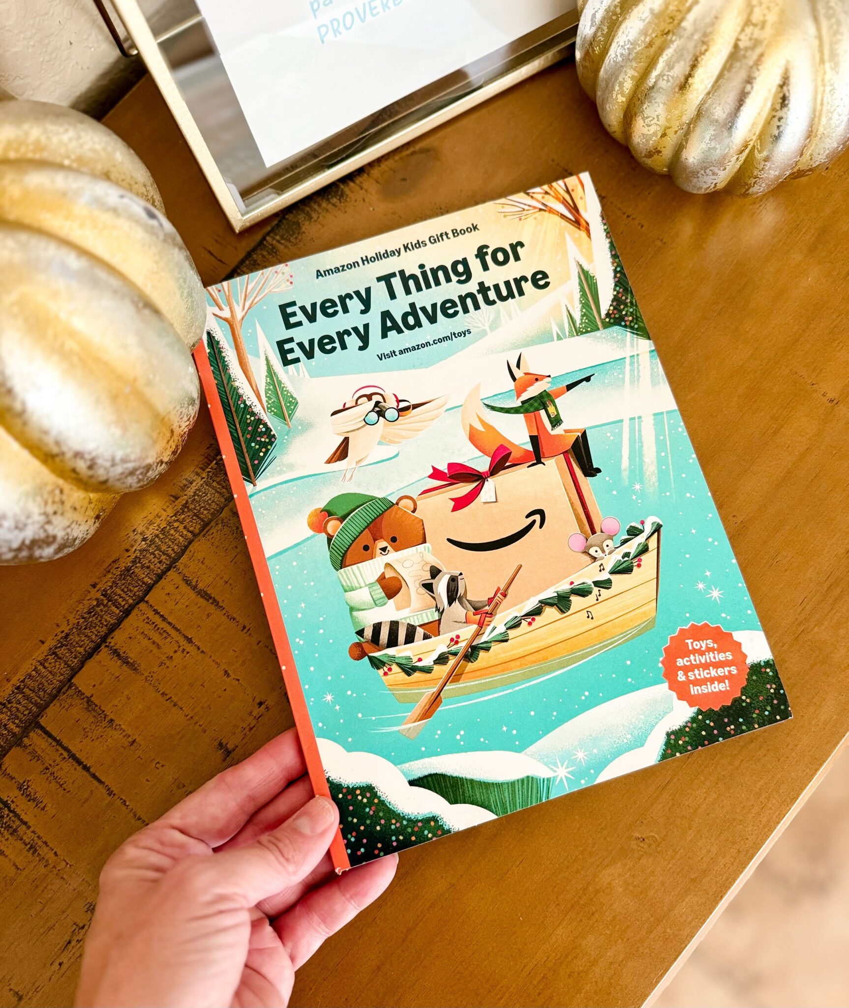 2026 Amazon Toy Catalog & List - Find Out How to Get YOURS!