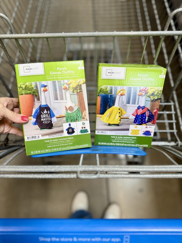 Walmart's $20 Porch Goose AVAILABLE