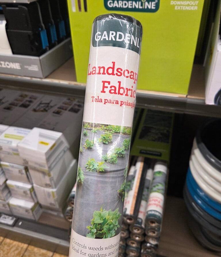 Aldi Weekly Finds | Check Out What's NEW In Store This Week!